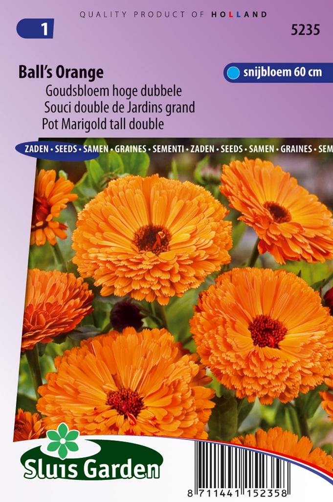 Calendula Officinalis zaden Balls Orange goudsbloem - Koopzaden.nl