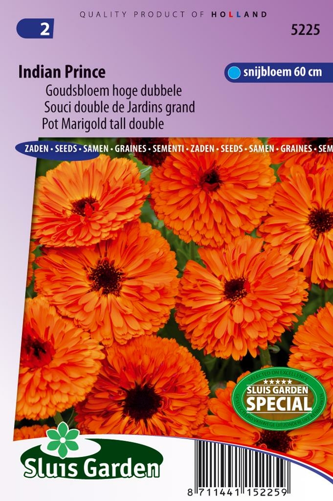 Calendula Officinalis zaden Indian Prince goudsbloem - Koopzaden.nl