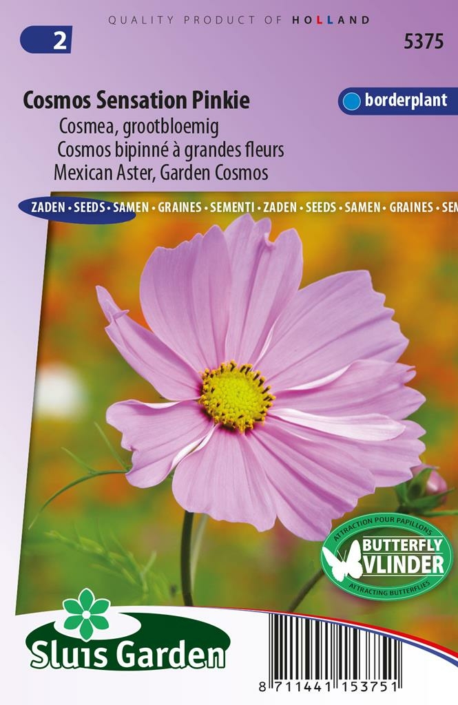 Cosmos bipinnatus zaden Sensation Pinkie - Koopzaden.nl
