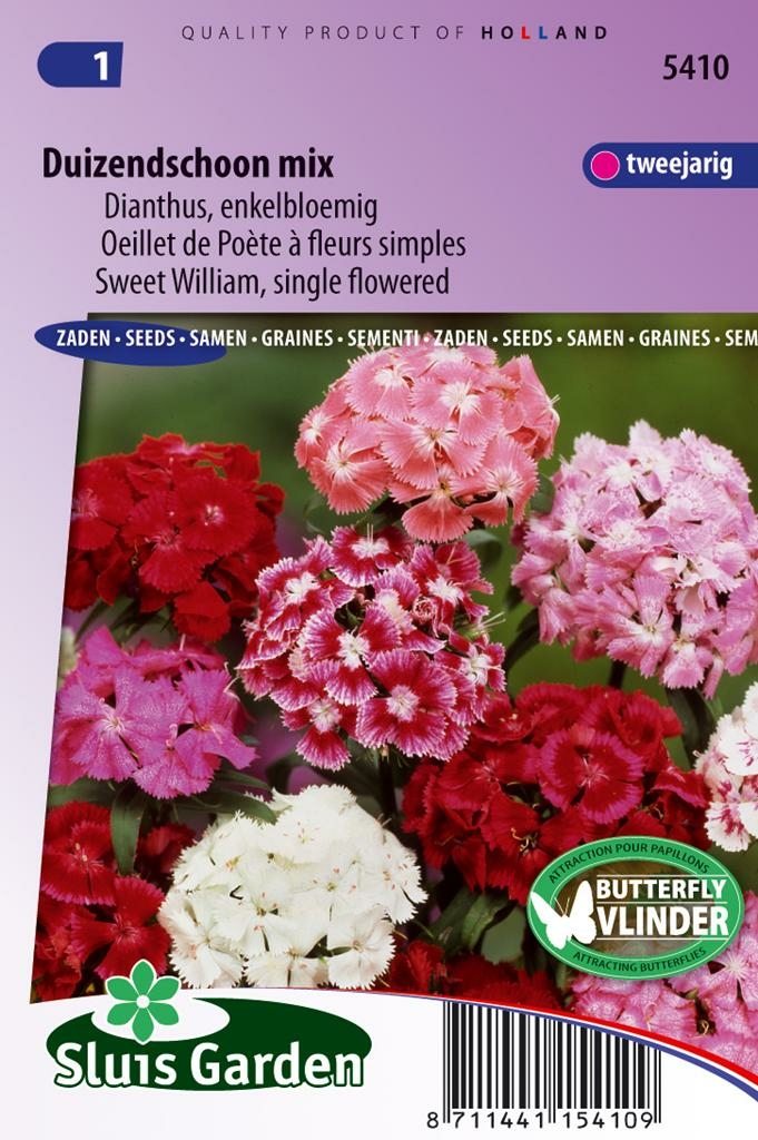 Dianthus Barbatus zaden Duizendschoon Enkel - Koopzaden.nl