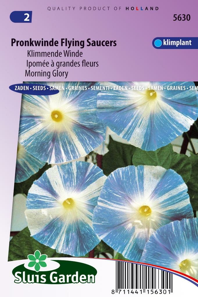 Ipomoea Tricolor zaden Flying Saucers Klimmende Winde - Koopzaden.nl