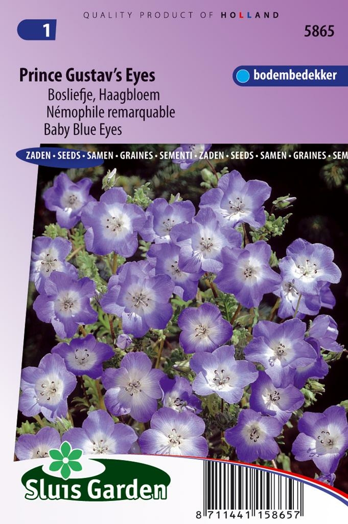 Nemophila zaden Prince Gustav's Eyes bosliefje - Koopzaden.nl