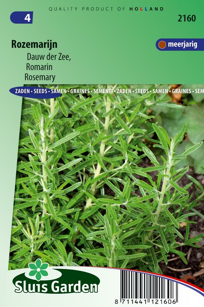 Rozemarijn zaden Rosmarinus Officinalis bestellen - Koopzaden.nl