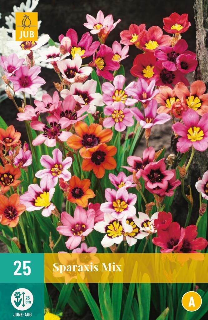 Sparaxis mix - Koopzaden.nl
