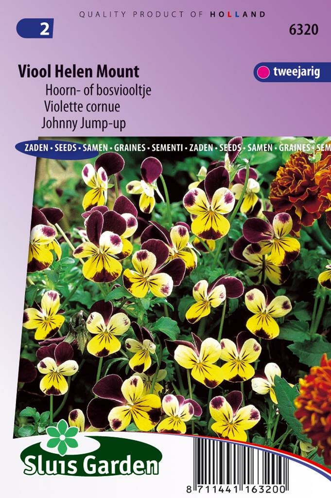 Bestel hier Viola Cornuta zaden Helen Mount viooltjes - Koopzaden.nl
